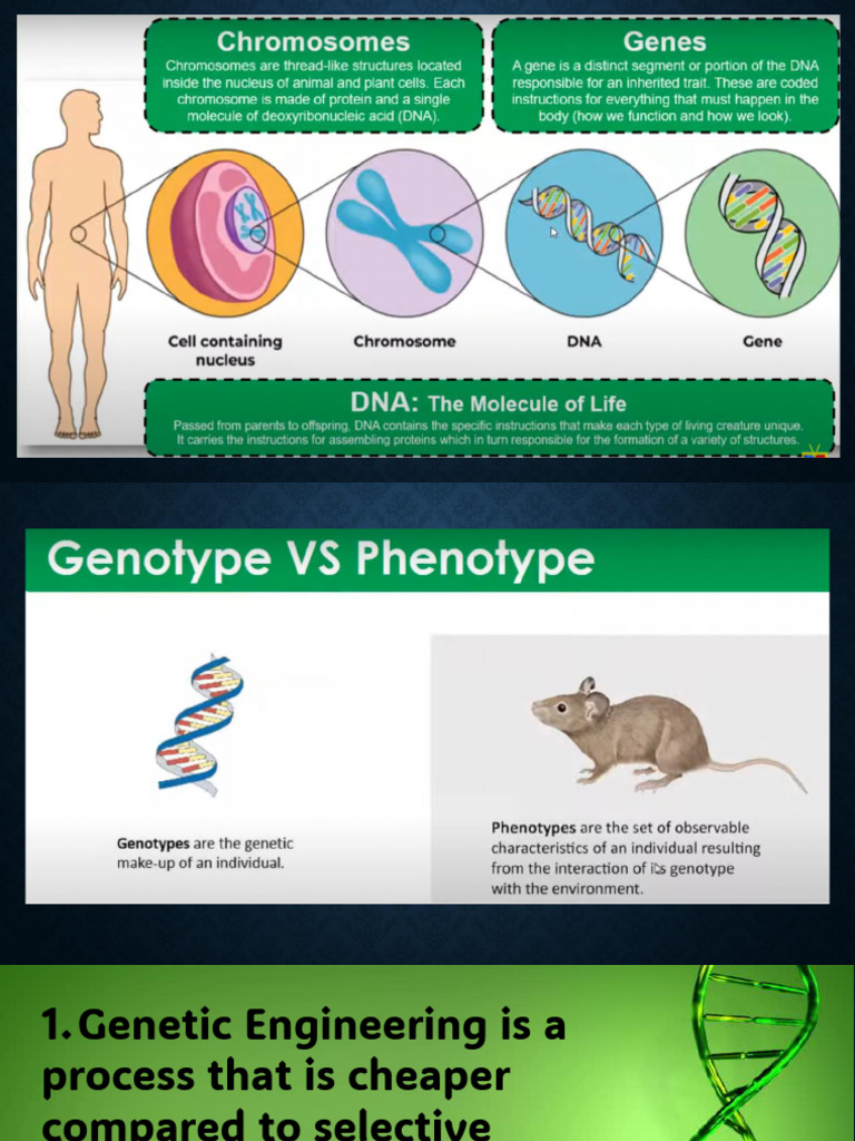 Q2 Els Lesson 4 Genetic Engineering | PDF | Genetic Engineering ...