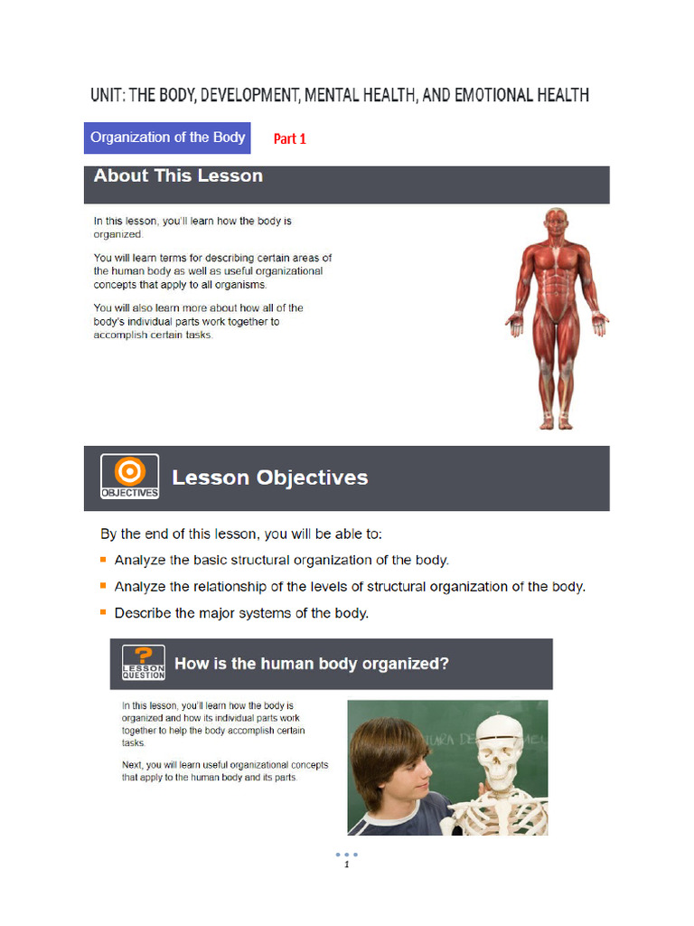 Organization of The Body | PDF | Science & Mathematics