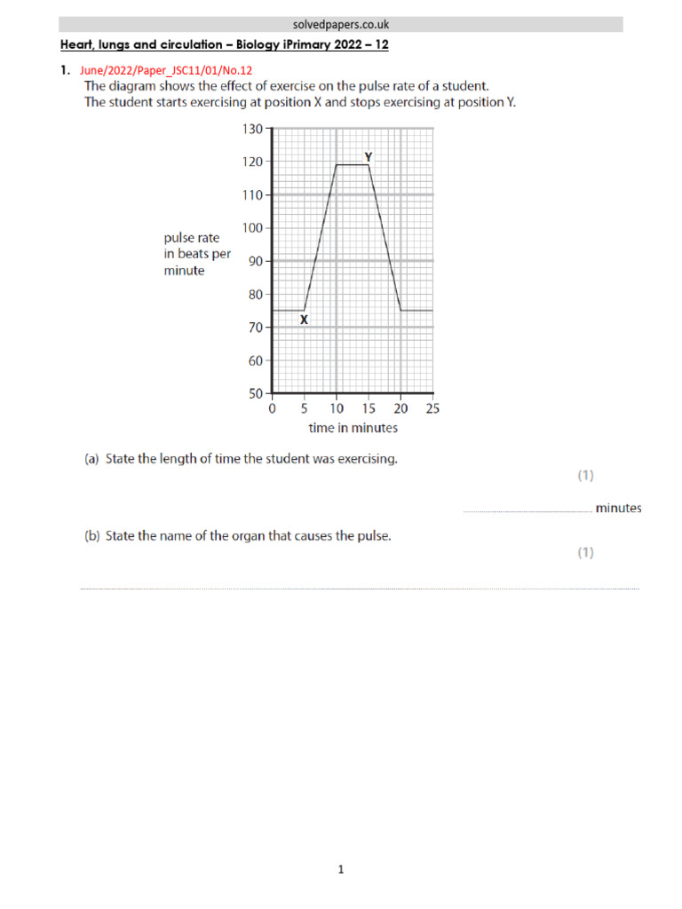 2022 12 Heart Lungs and Circulation Edexcel Biology IPrimary | PDF