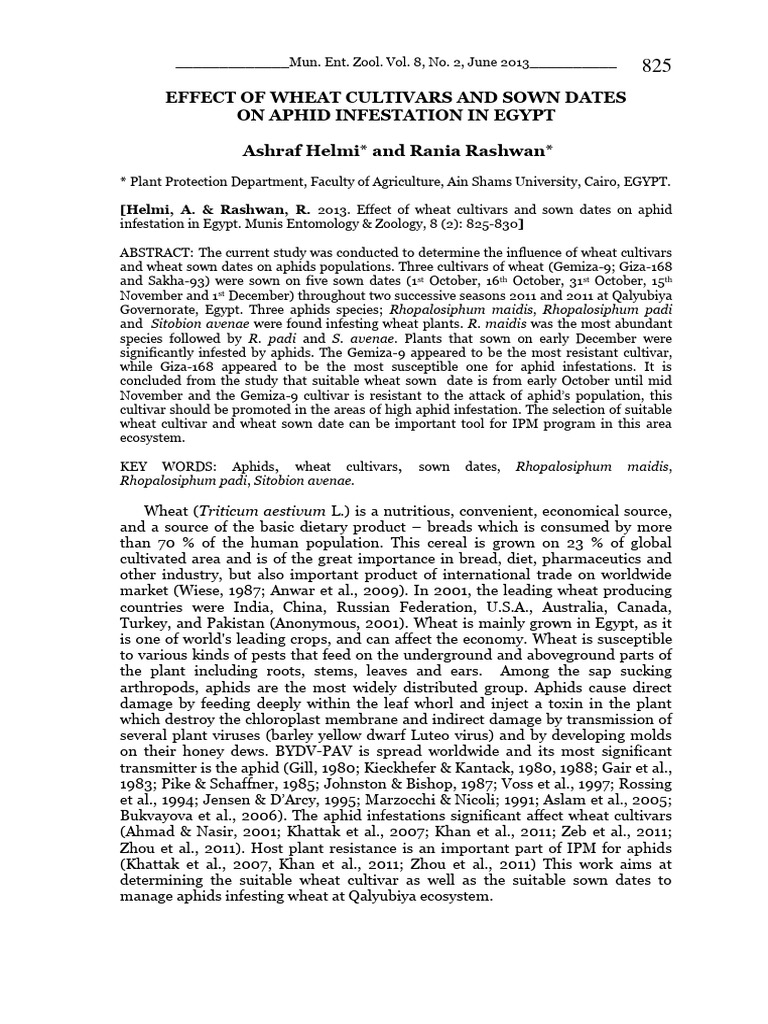 Effect Of Wheat Cultivars And Sown Dates Pdf Wheat Barley