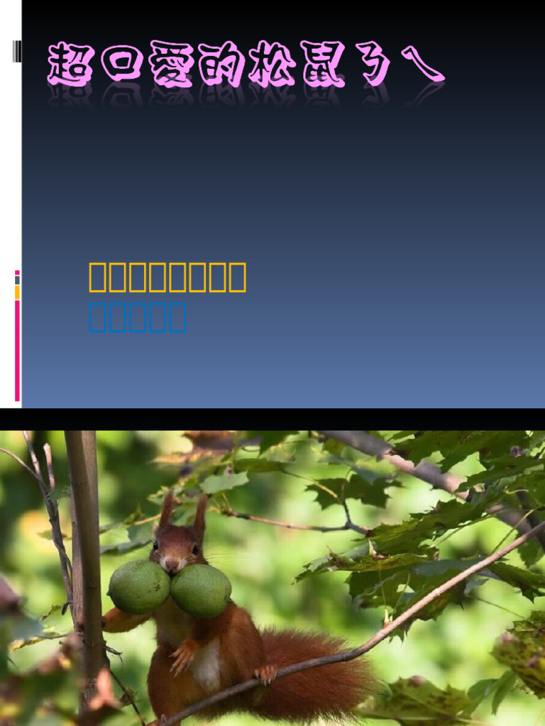 Wonderful Squirrels | PDF