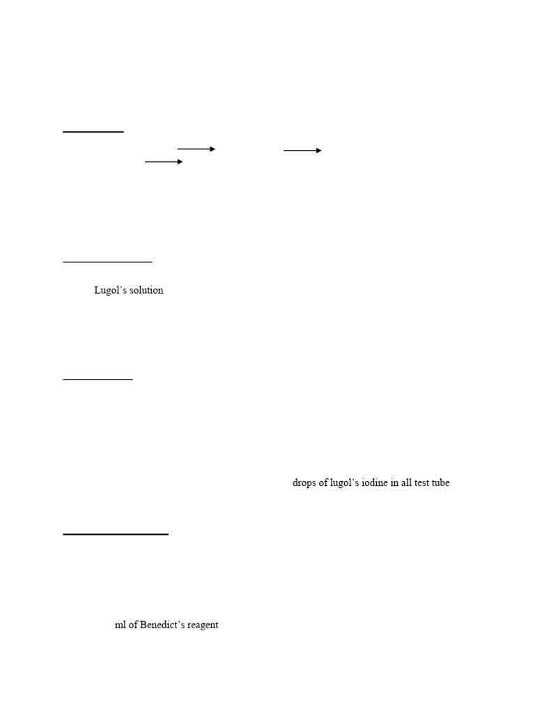 Practical (Salivary Amylase) | PDF