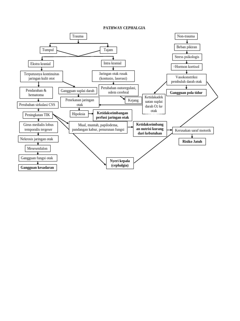Pathway Cephalgia | PDF