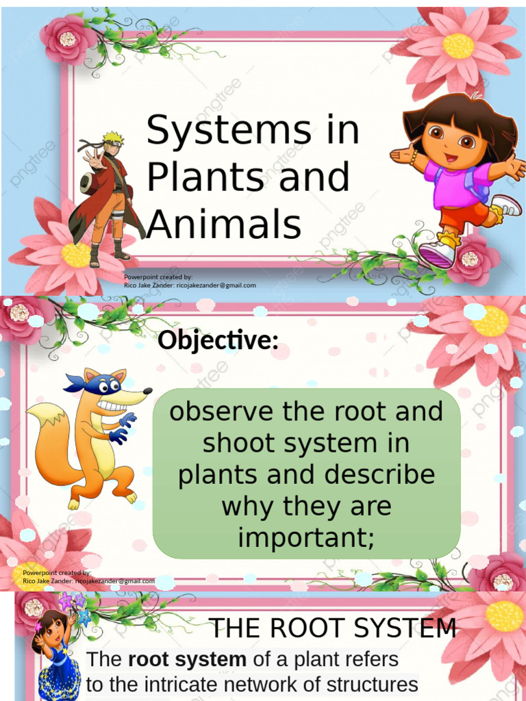 Science4 Q2 2 Observe The Root and Shoot System in Plants | PDF | Leaf | Root