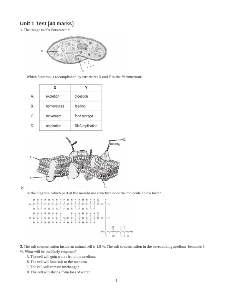 IB Biology Unit 1 Test Review | PDF | Cell (Biology) | Cell Membrane