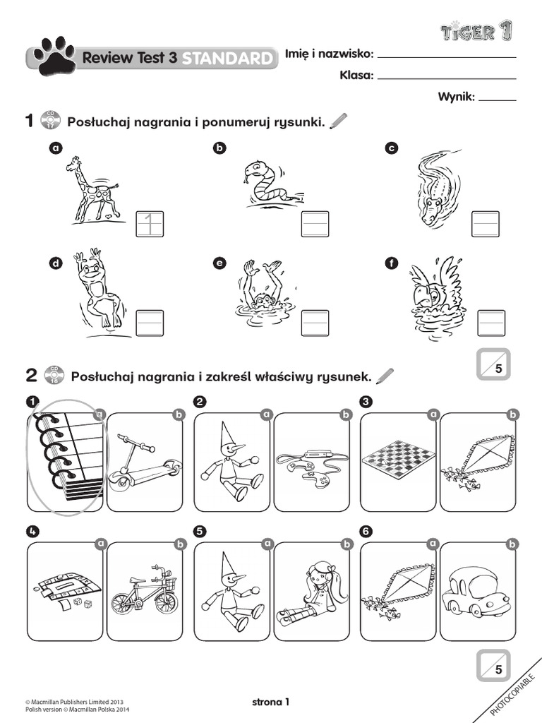 Review Test 3 STANDARD Tiger 1 | PDF