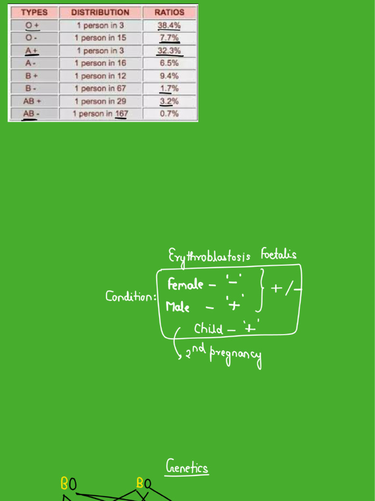 Circulatory System | PDF