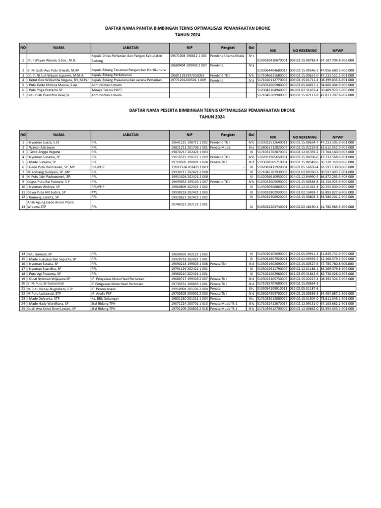 Database Rekap Panitia Dan Pserta | PDF