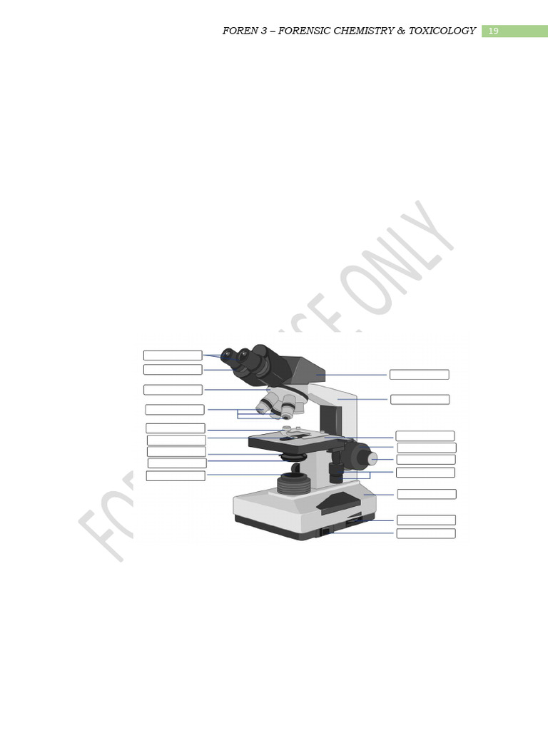 LAB-ACTIVITY-1-2 | PDF | White Blood Cell | Microscope
