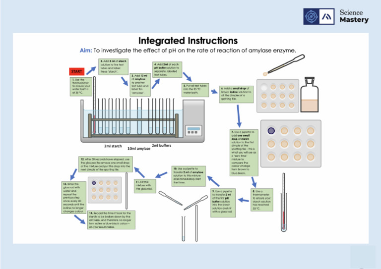 B Enzymes - GCSE Required Practical - Integrated Instructions | PDF