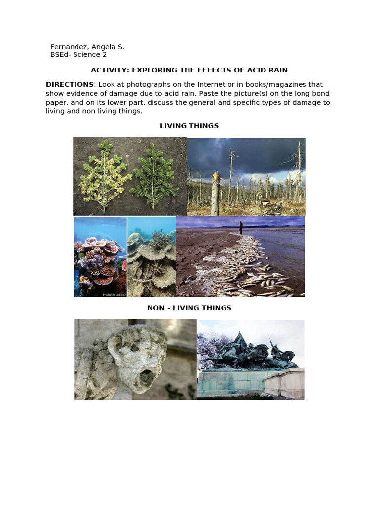 Activity - Acid Rain | PDF
