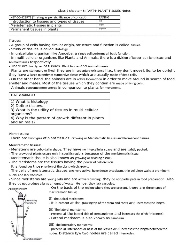 Plant Tissues Important Notes Class 9 | PDF | Tissue (Biology) | Histology