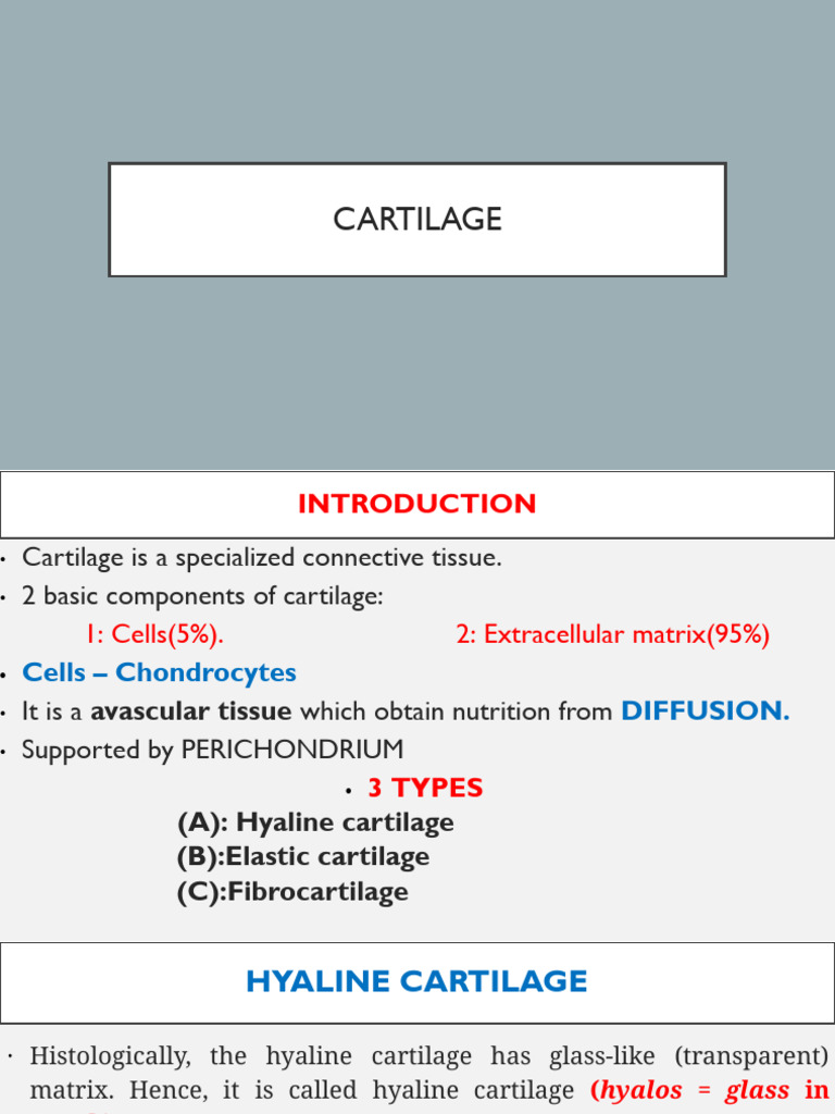 Wa0026 - 055527 | PDF | Cartilage | Extracellular Matrix