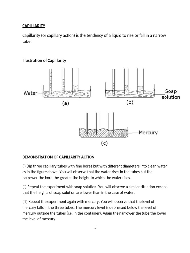 3RD Term SS1 Physics-Capillarity | PDF | Surface Tension | Condensed Matter Physics