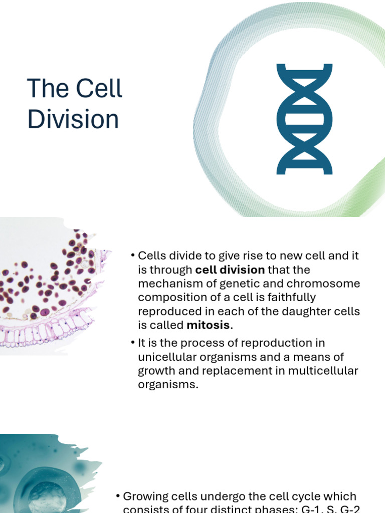 Unit 2 - The Cell Division | PDF | Meiosis | Mitosis