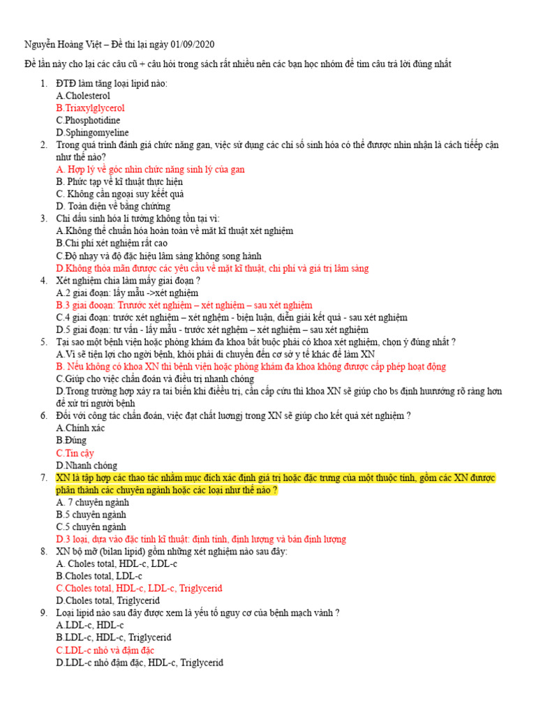 (Y17) HSLS-2020 Hoàng Việt (ĐATK) | PDF