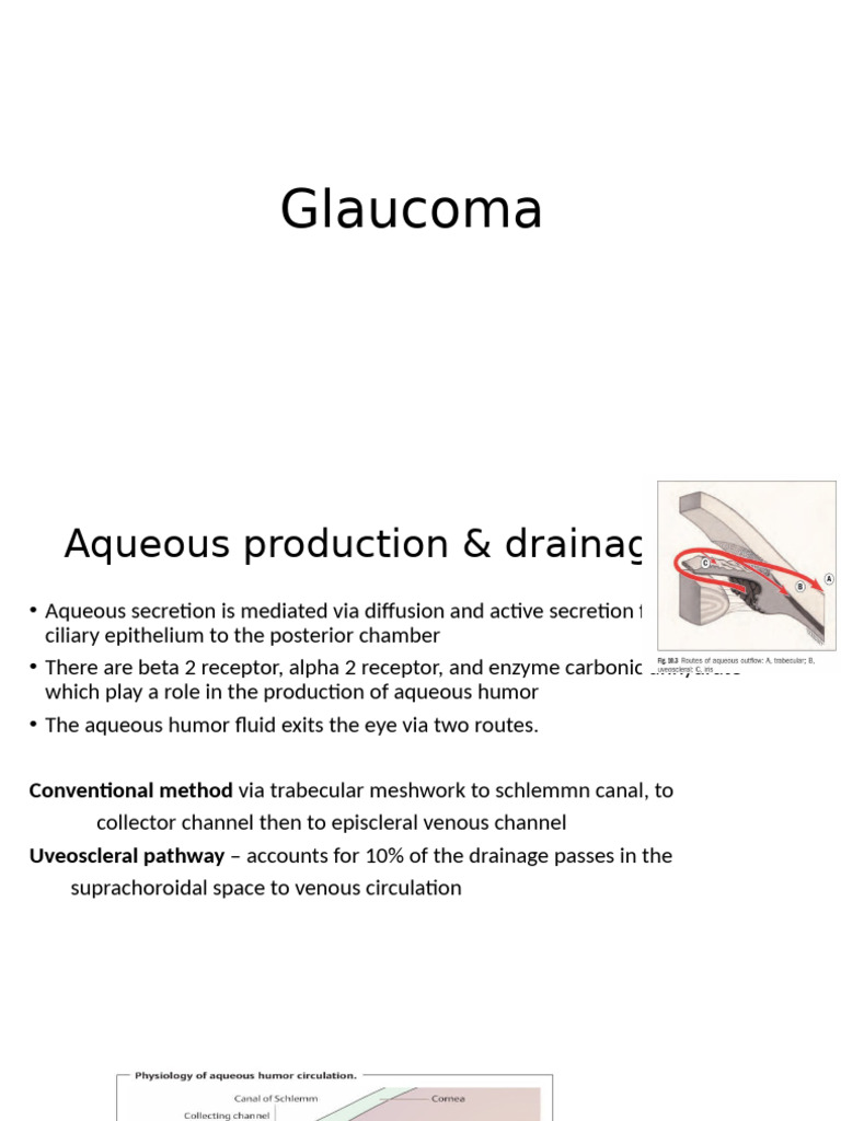 7.Glaucoma | PDF | Glaucoma | Vision