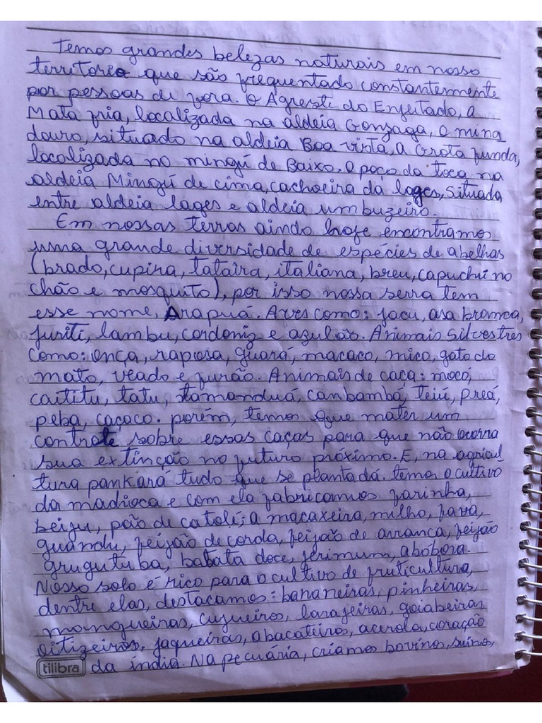 PDF 20240322 09.37.04 | PDF