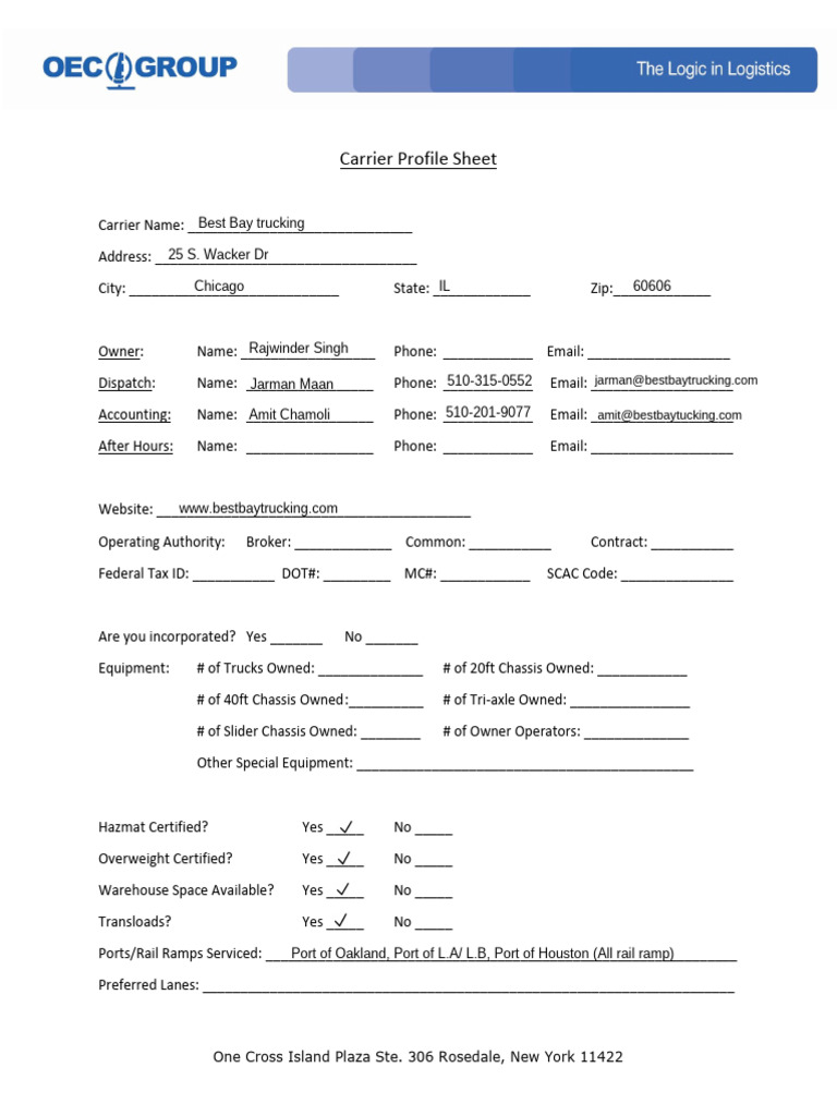 Carrier Profile Sheet | PDF | Consumer Goods | Transport