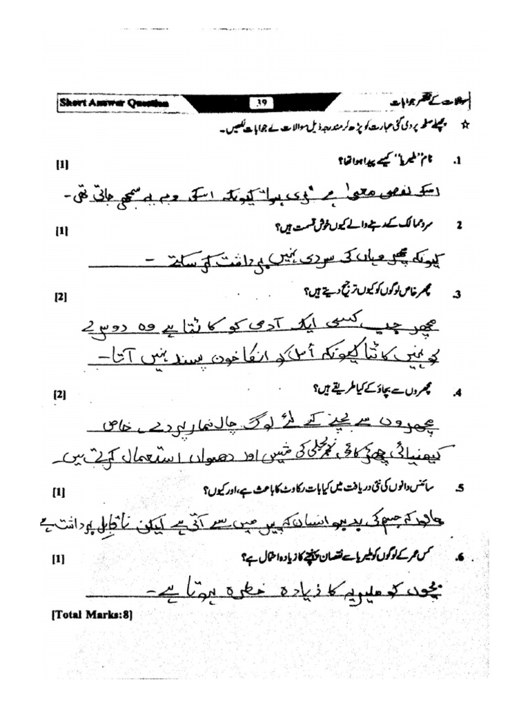 Assignment 3 Urdu | PDF