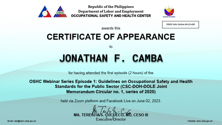 DOLE Guidelines Public Sector CSC DOH DOLE | PDF