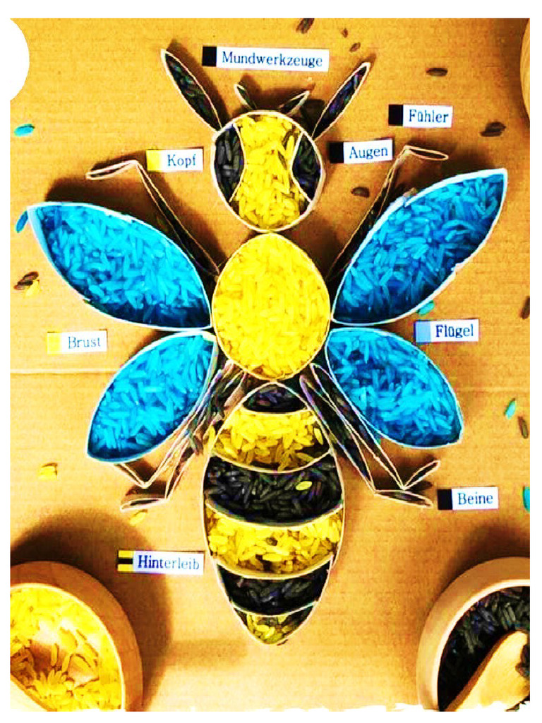 Partes de Una Abeja | PDF