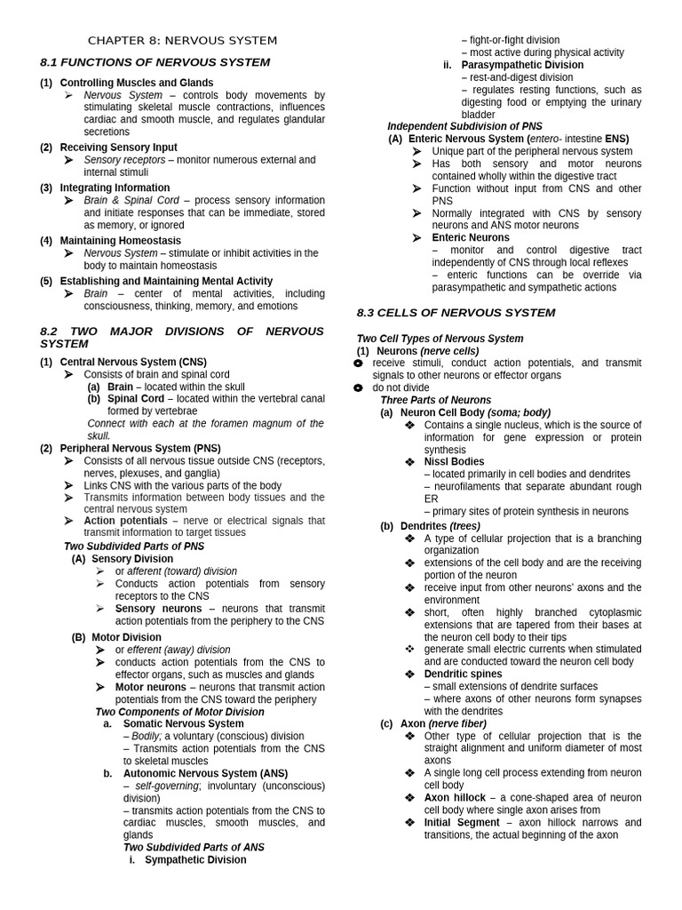 Nervous System - Anaphy Lec Reviewer | PDF | Neuron | Axon