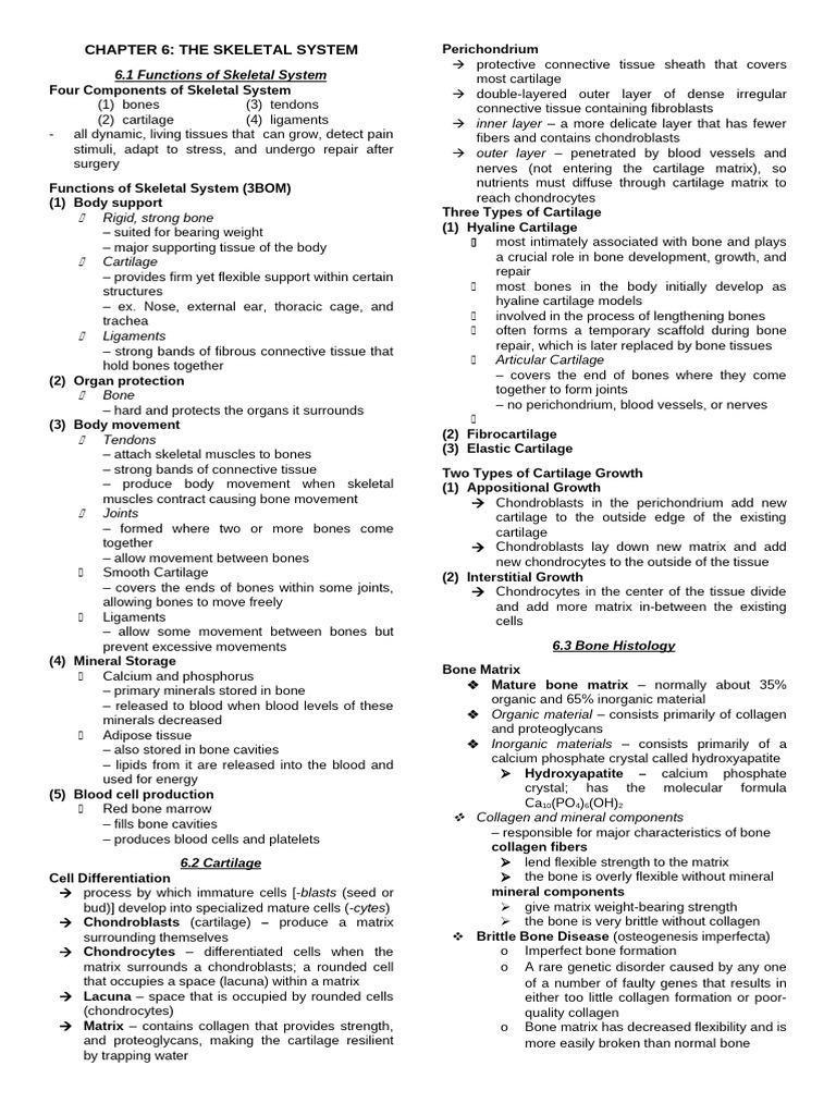 Anaphy (Chapter 6) | PDF | Bone | Osteoblast