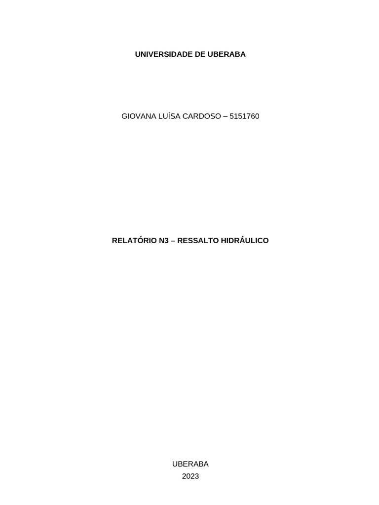 Relatorio2 Hidraulica | PDF | Tecnologia e Engenharia