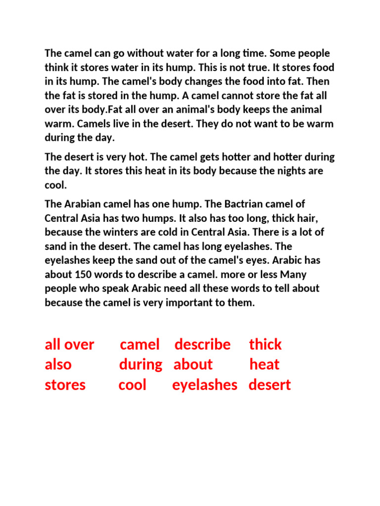 The Camel | PDF | Foreign Language Studies