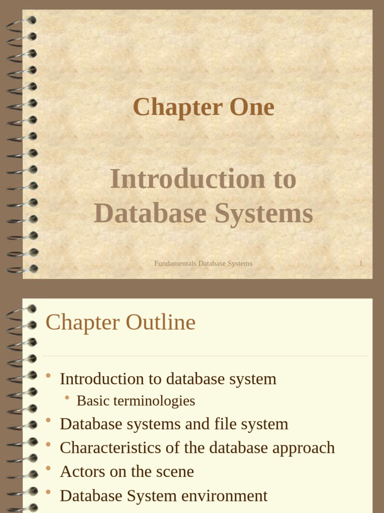 Chapter 1 | PDF | Databases | Relational Database