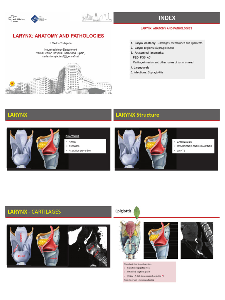Larynx Anatomy And Patology Dr Bustelo Pdf Larynx Human Head