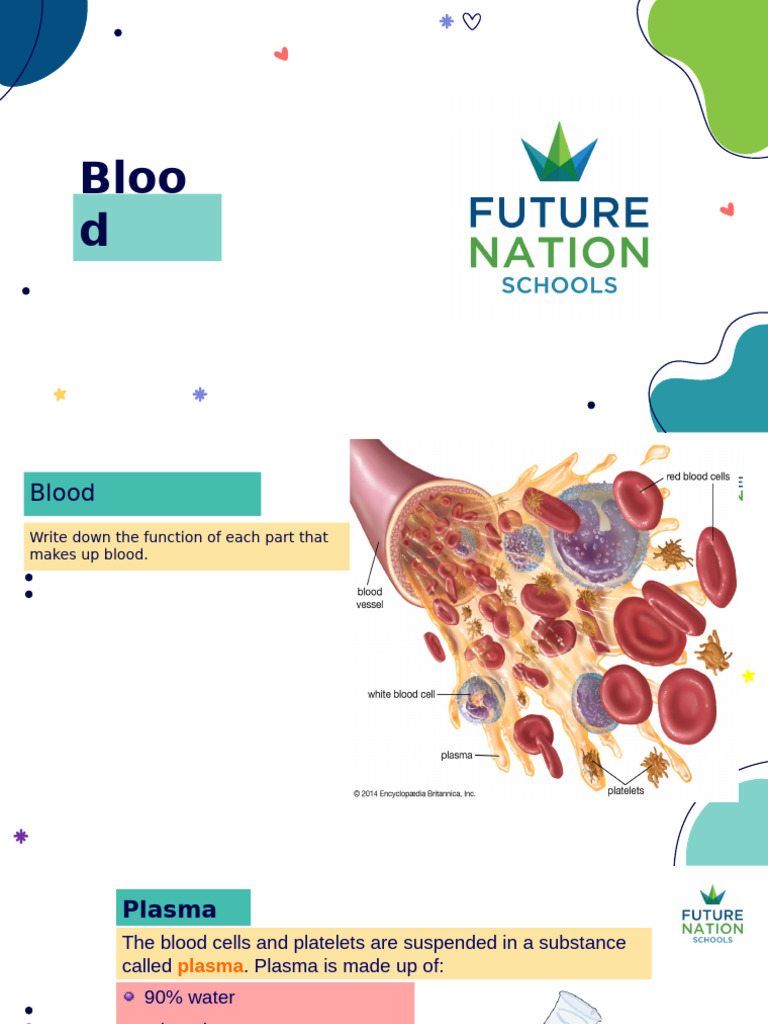 Blood | PDF