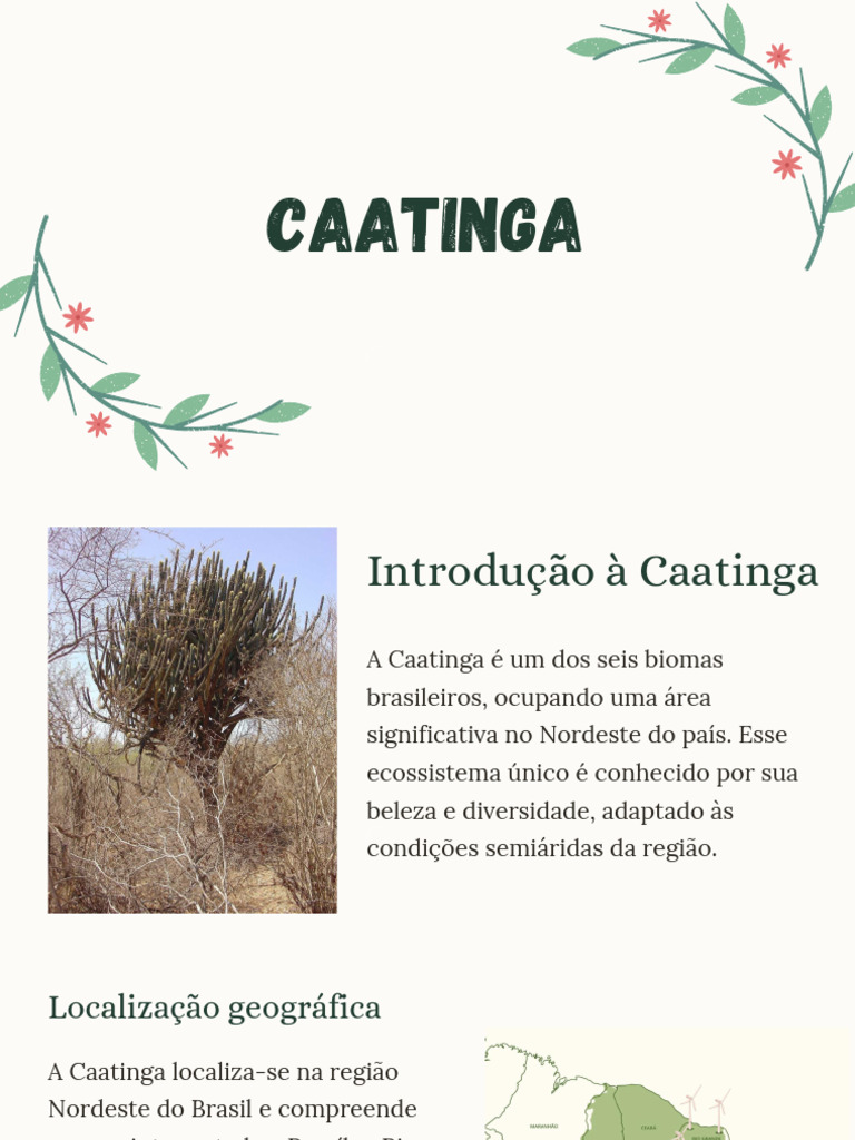 Trabalho Sobre Caatinga | PDF | Seca | Erosão