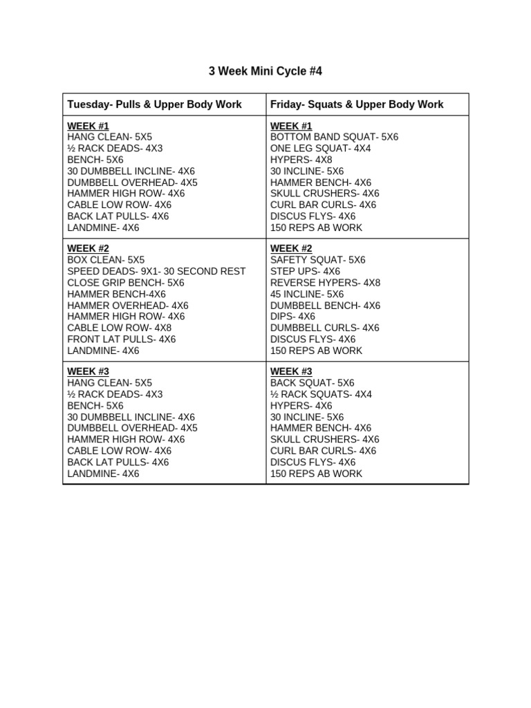 3 Week Mini Cycle #4 | PDF
