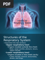 Understanding the Respiratory System | PDF