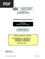 Sepedi P2 Study Guide 230524 050039 124709 | PDF