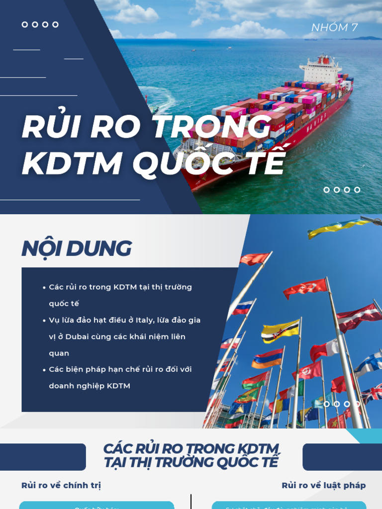 R I Ro Trong KDTM QT | PDF