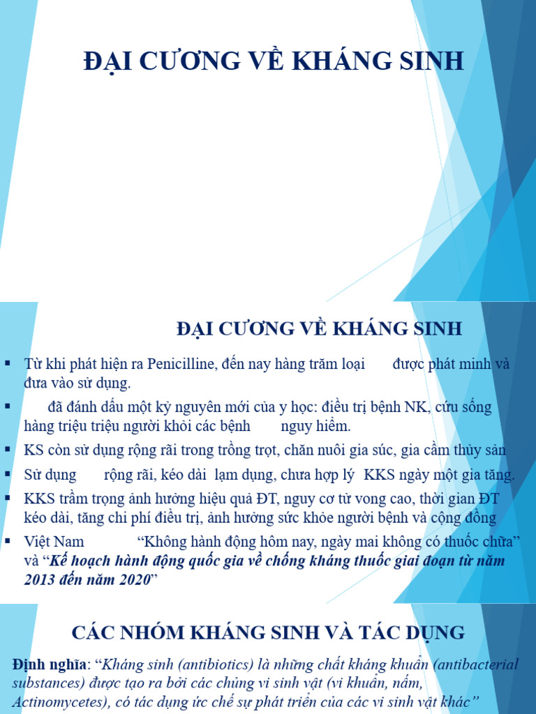 14 - KS - Phân Lo I Khang Sinh | PDF