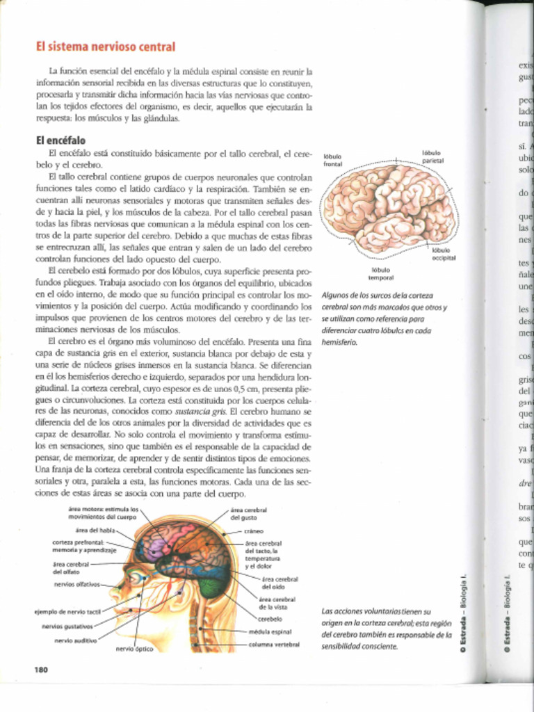 Biología 2° Año Ih | PDF