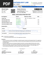 Typhoid Positive Report Format | PDF
