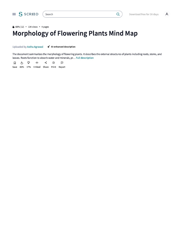 Yay | PDF