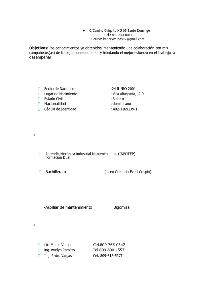 CV Johan Morel: Mecánica Industrial | PDF