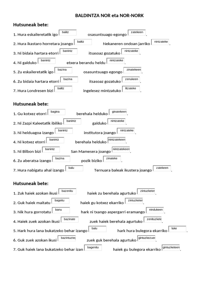 Baldintza Fitxa 1 Unit | PDF