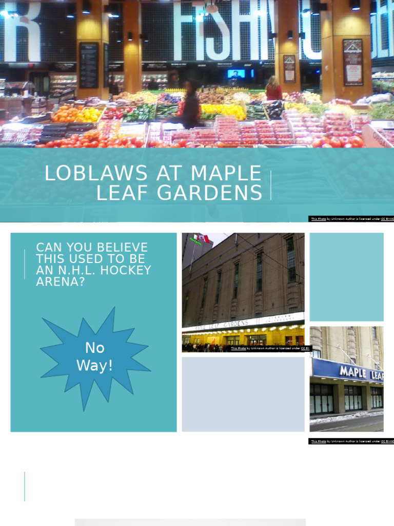 Loblaws at Maple Leaf Gardens: A Unique Visit | PDF