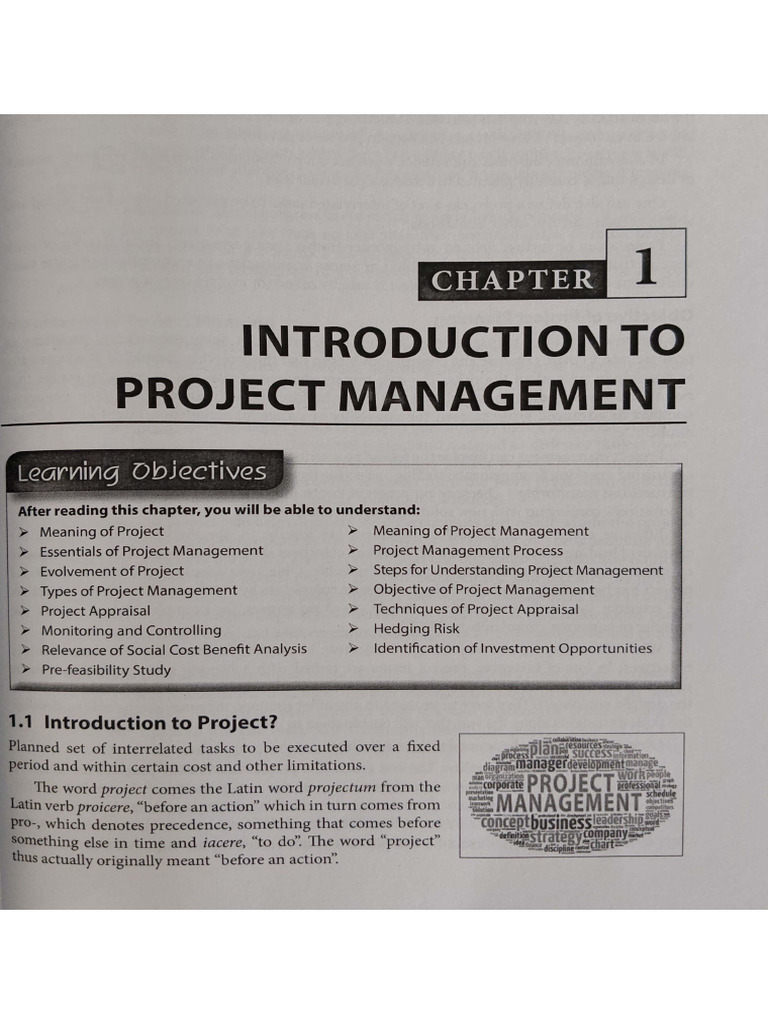Chapter 1 Project Management | PDF