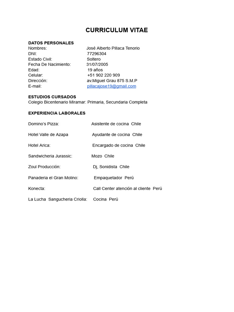 Curuulum Vitae Jose Actualizada | PDF