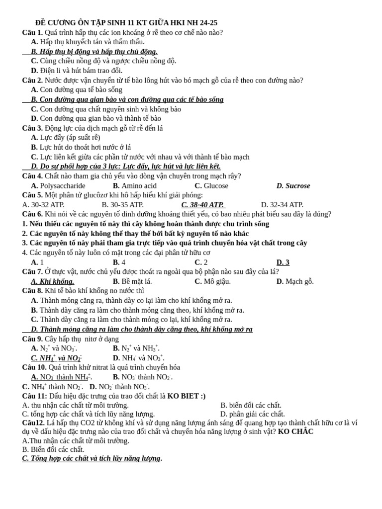 Đe Cuong On Tap Sinh 11 KT Ghki NH 24-251 | PDF