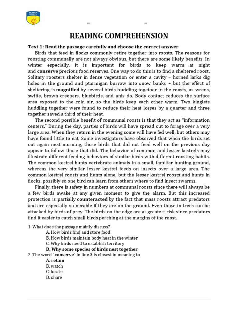Reading Comprehension | PDF | Internet | Birds