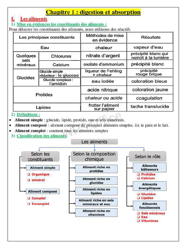 Résumé Aliment Digestion Complet | PDF
